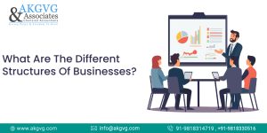 What Are The Different Structures Of Businesses? - AKGVG & Associates