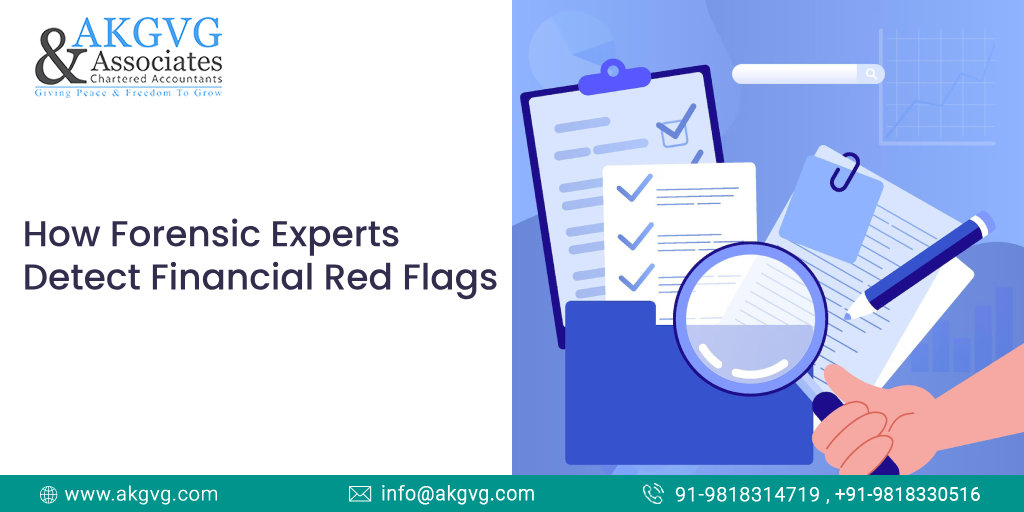 How Forensic Experts Detect Financial Red Flags - AKGVG & Associates
