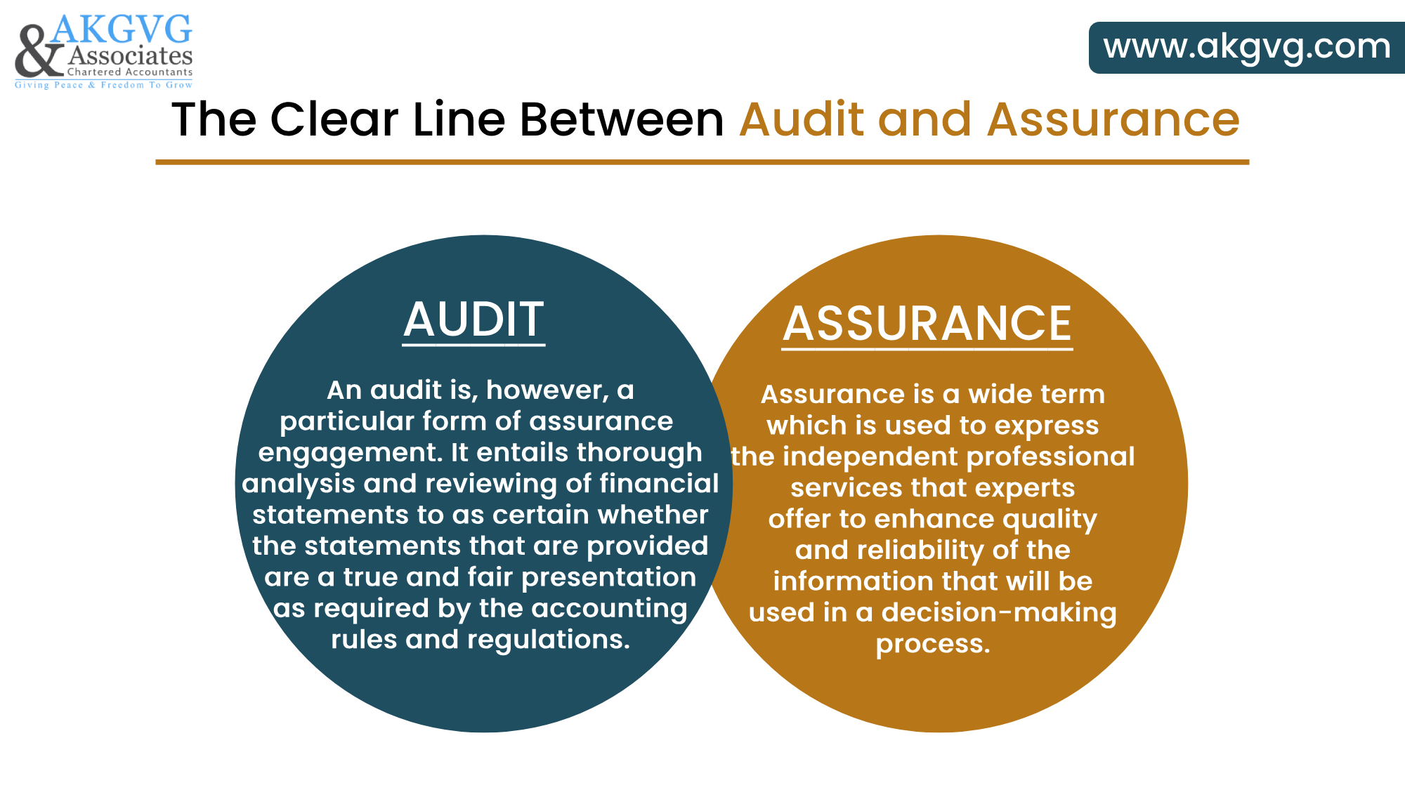 The Clear Line Between Audit and Assurance - AKGVG & Associates