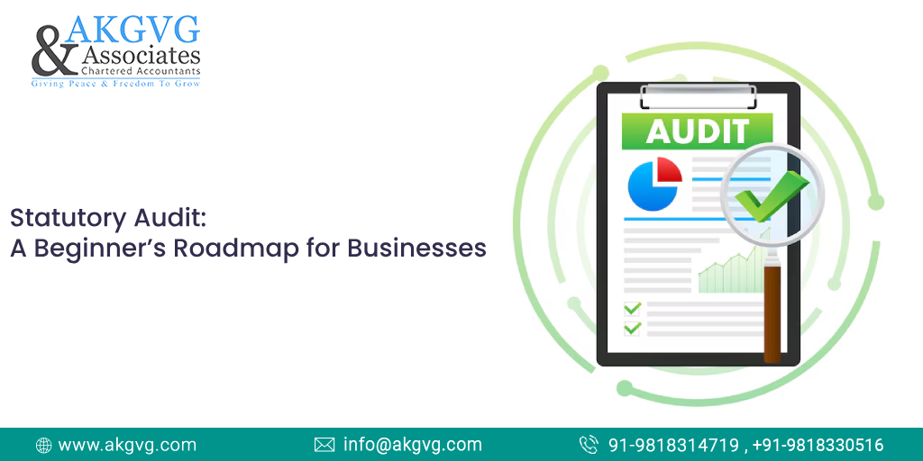 Statutory Audit: A Beginner’s Roadmap for Businesses - AKGVG & Associates